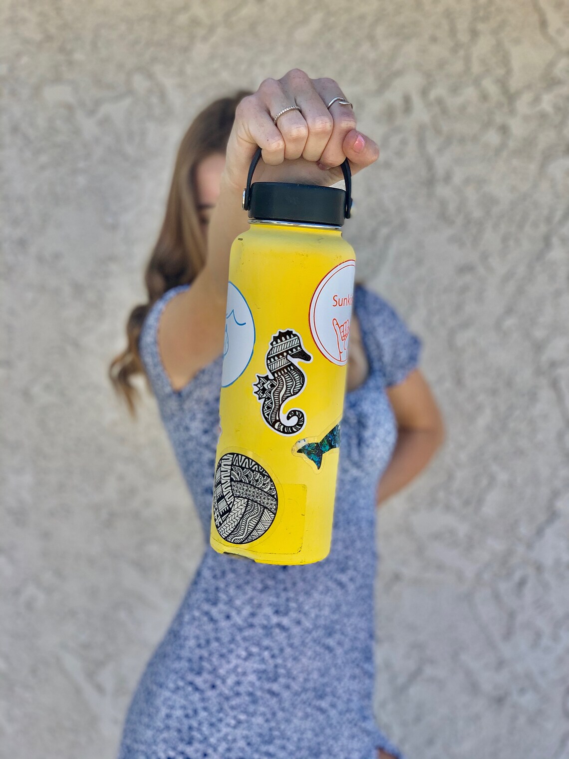 Seahorse Sticker - Vinyl Decal, Vinyl Sticker - Car Decal, Laptop Decal ...