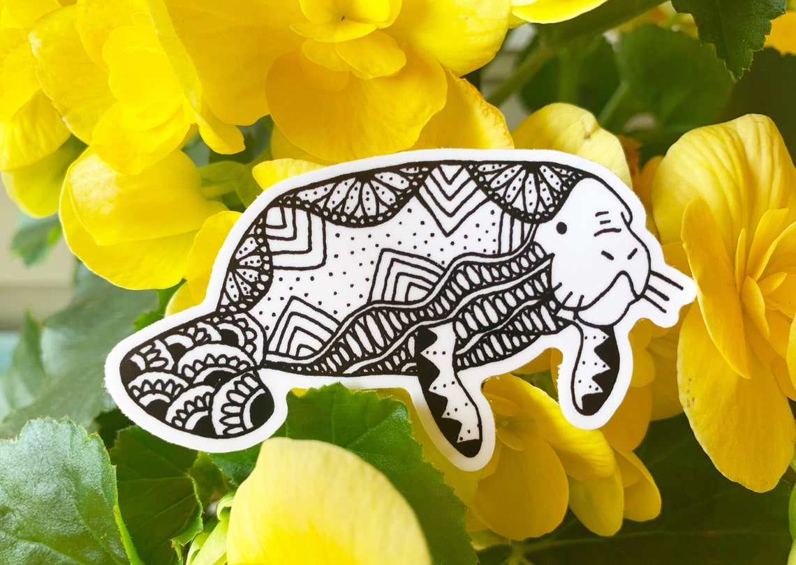 Manatee Sticker Vinyl Decal Vinyl Sticker Car Decal - Etsy
