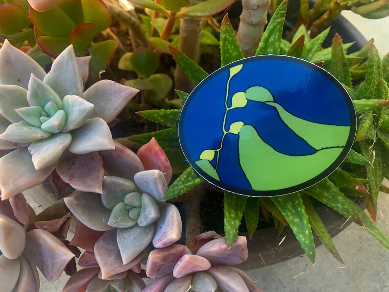 Giant Kelp Sticker: Macrocystis Pyrifera Vinyl Decal for Ocean Lovers ...