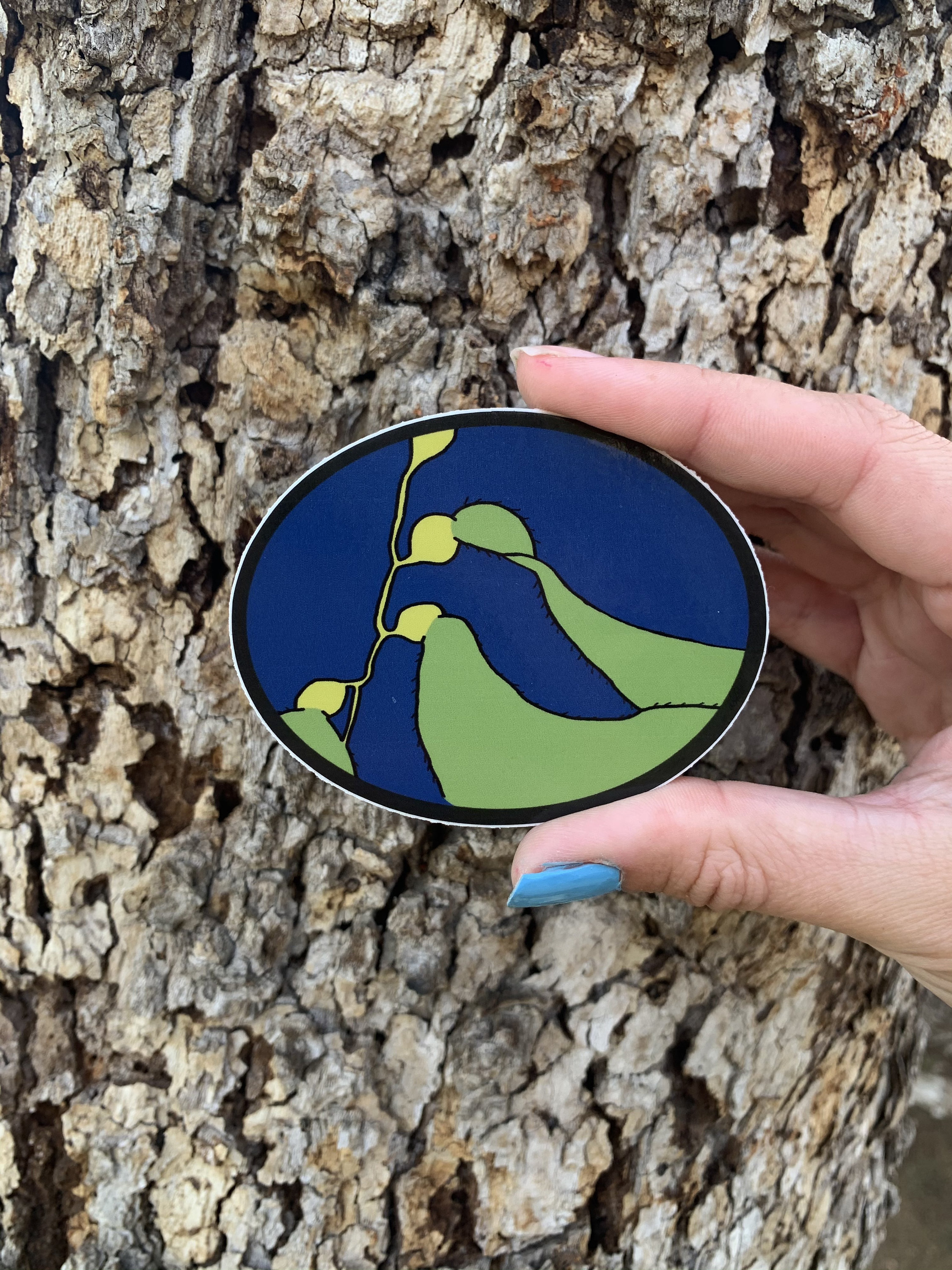 Giant Kelp Sticker: Macrocystis Pyrifera Vinyl Decal for Ocean Lovers ...