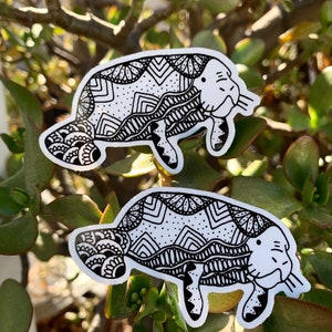 Manatee Sticker - Vinyl Decal, Vinyl Sticker - Car Decal, Laptop Decal ...