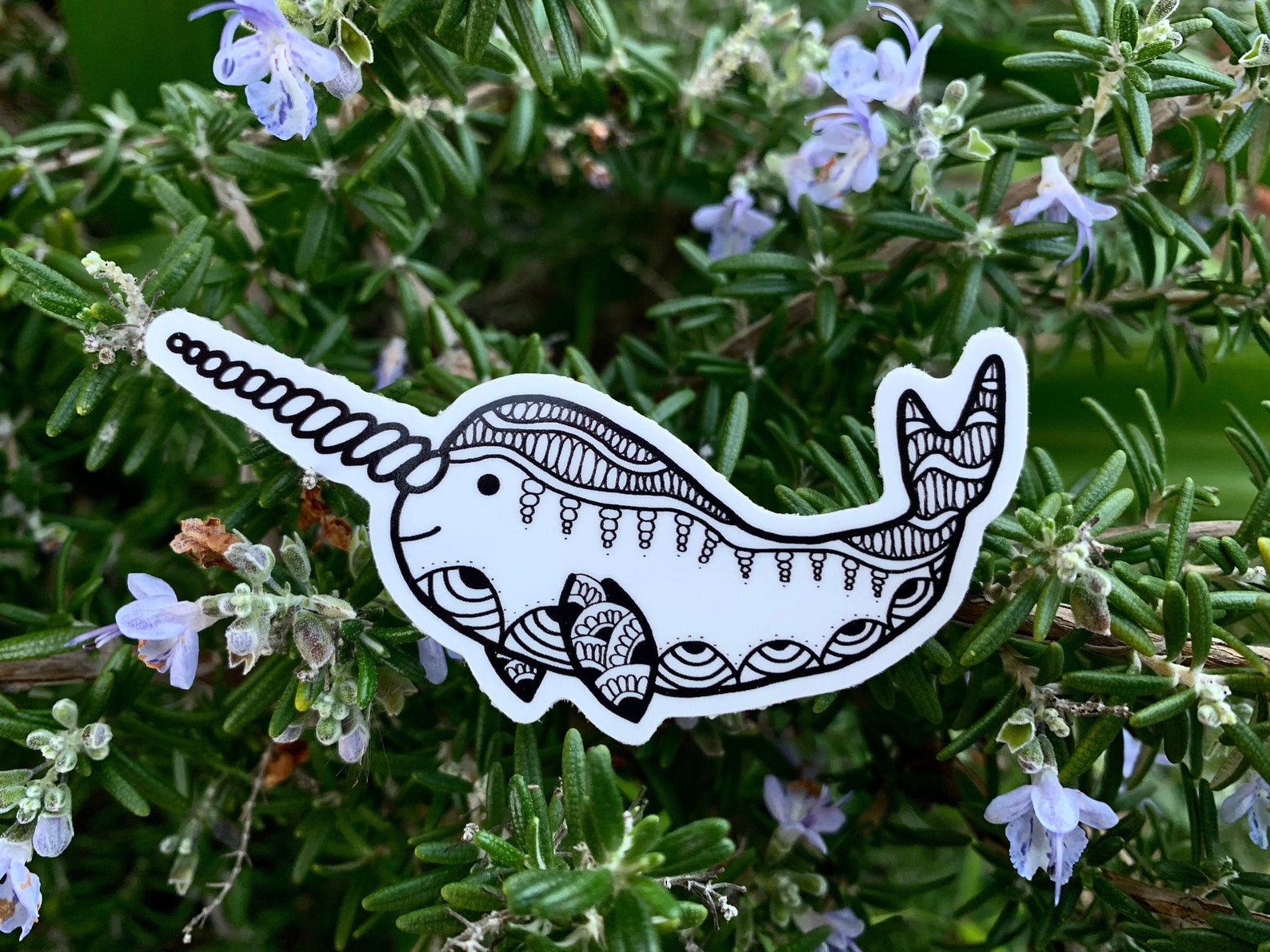 Narwhal Sticker Vinyl Decal, Vinyl Sticker Car Decal, Laptop Decal ...
