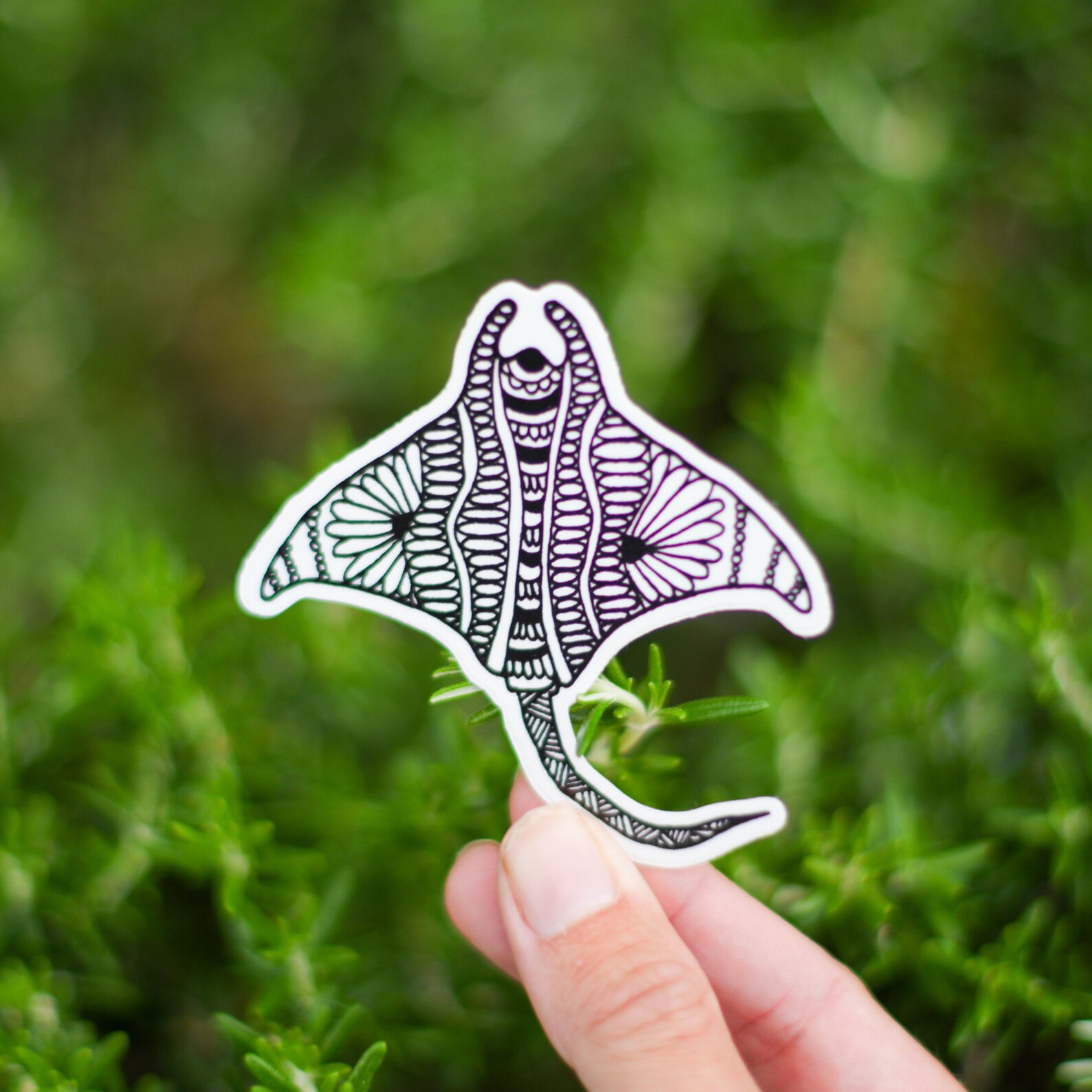 Manta Ray Sticker Vinyl Decal Vinyl Sticker Car Decal | Etsy