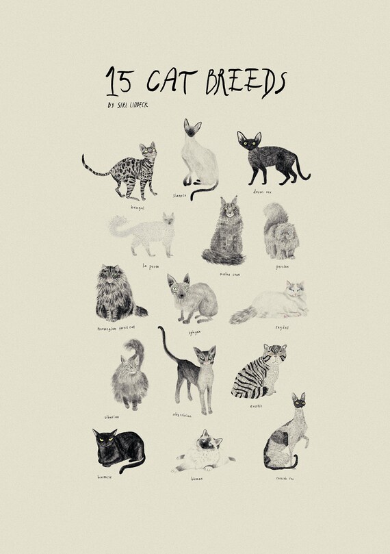 Cat Breed Chart