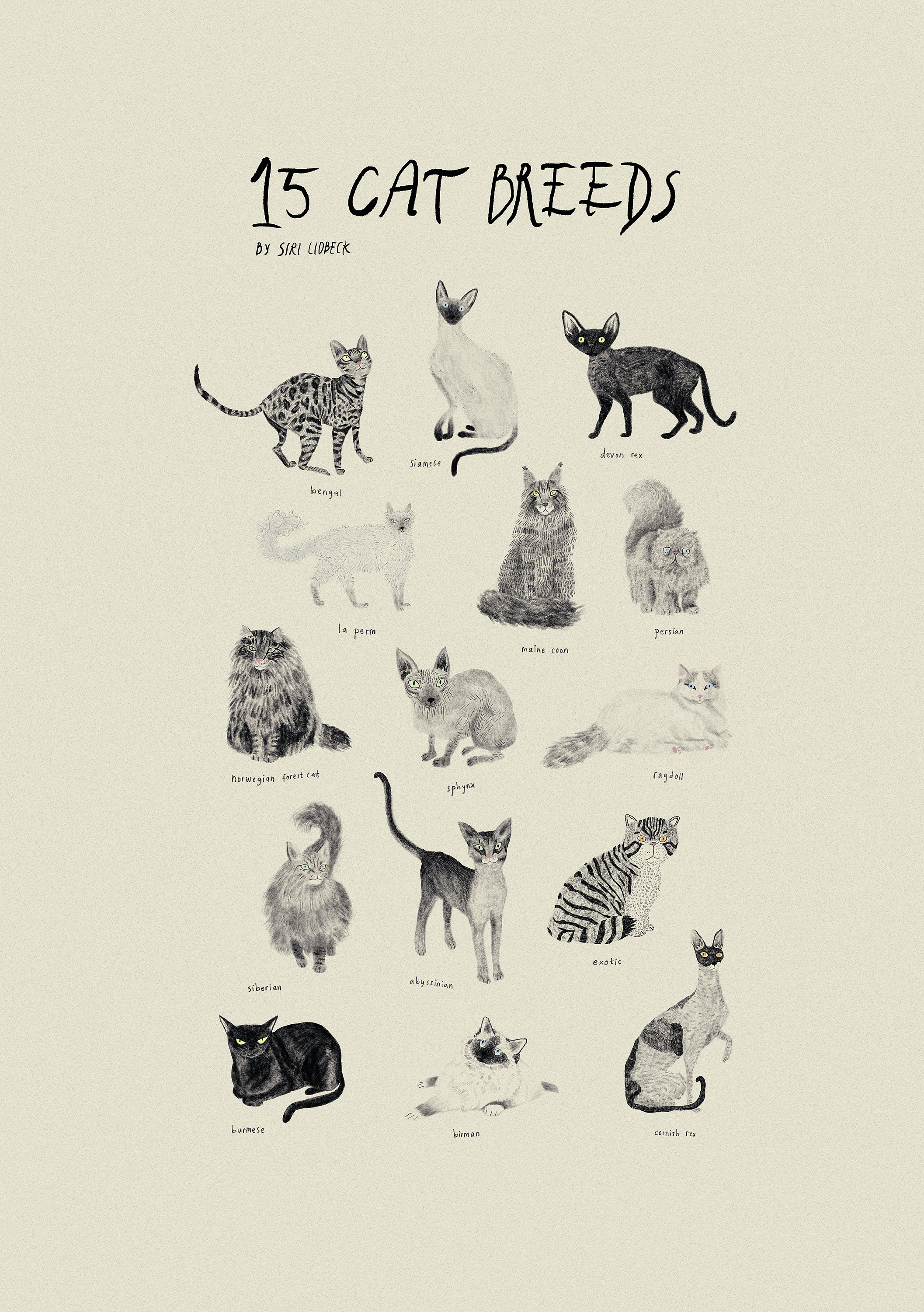 Cat Breed Poster