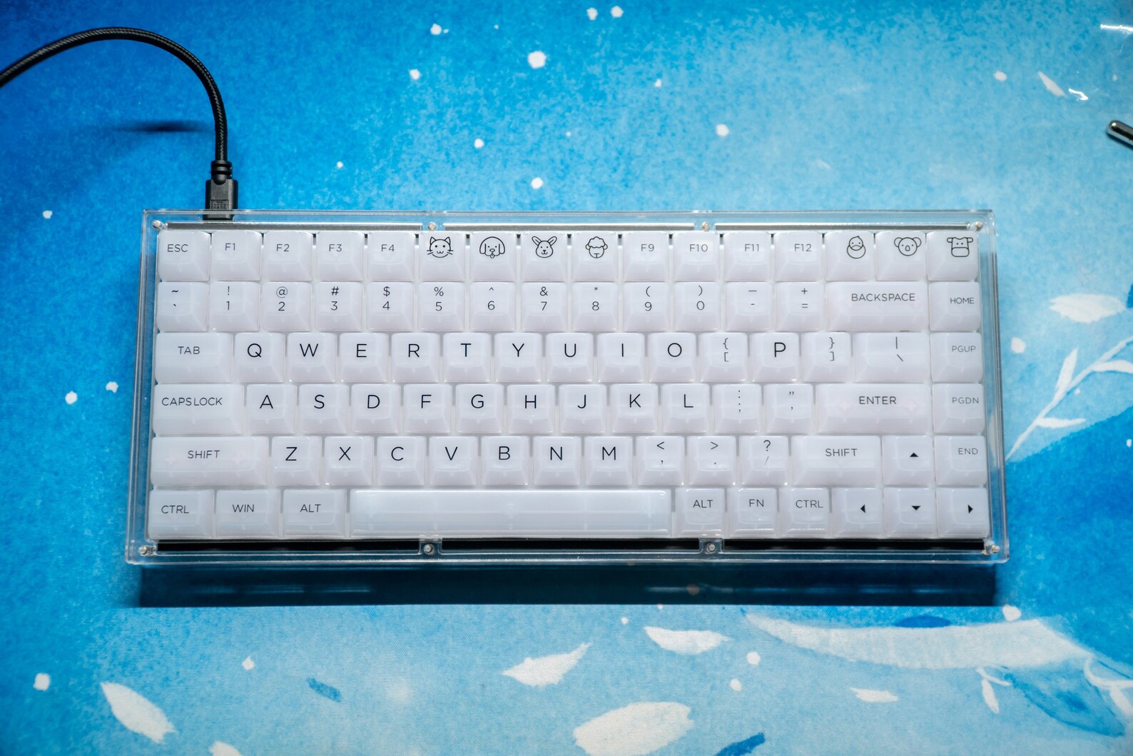 White Clear Keycap Backlight Keycap Transparent Keycap - Etsy