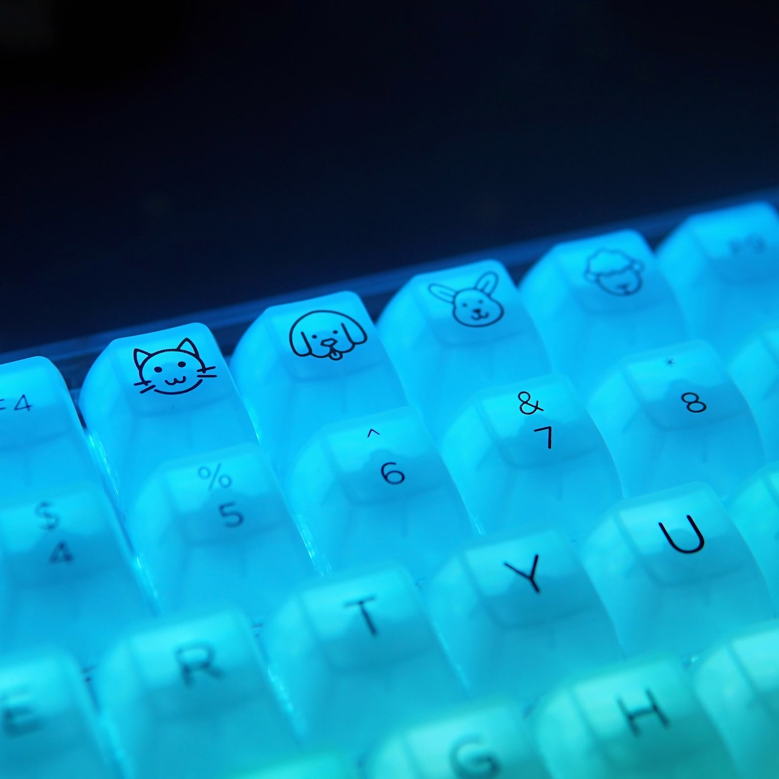 White Clear Keycap Backlight Keycap Transparent Keycap - Etsy