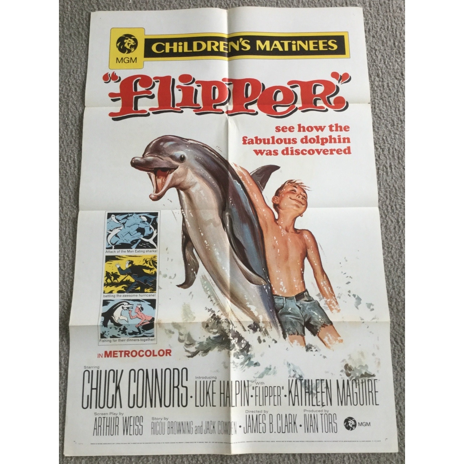 Original Movie Poster Flipper 1970 Canada Lobby Children's - Etsy
