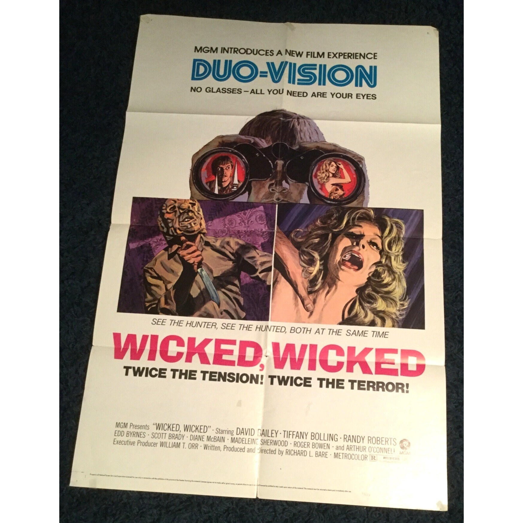 1972 Wicked Wicked Original Movie Poster Terror Theatre Canada - Etsy
