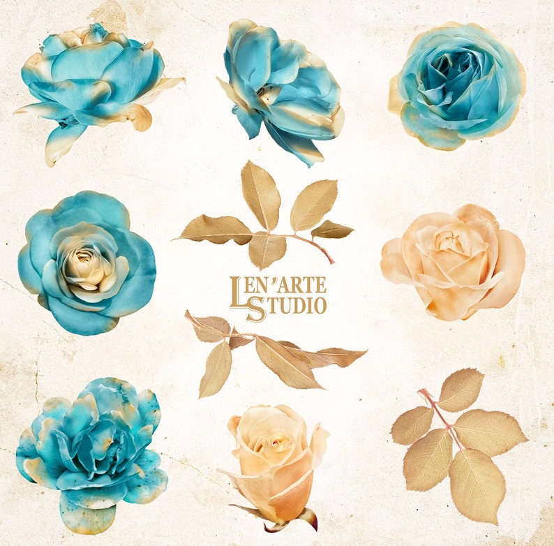 Teal Roses Clip Art Teal Roses Bouquet Clipart Real Flower - Etsy