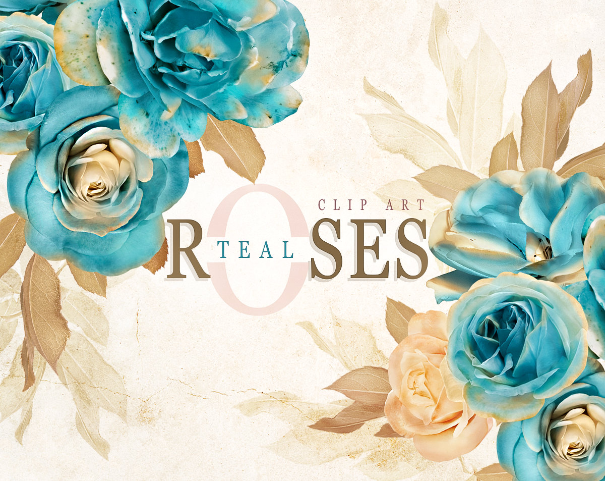 Teal Roses Clip Art Teal Roses Bouquet Clipart Real Flower - Etsy