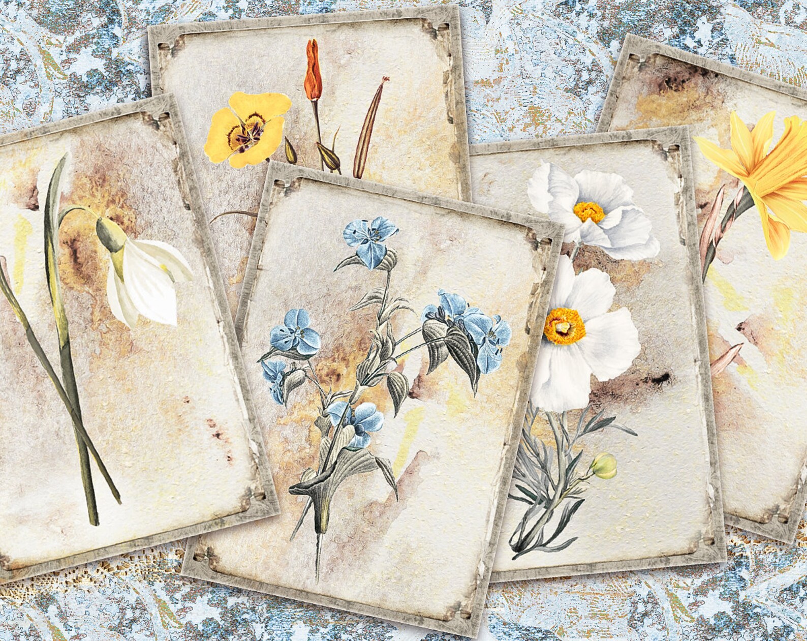 Spring Botanical Card Set, Digital Floral Cards ATC, Printable ...