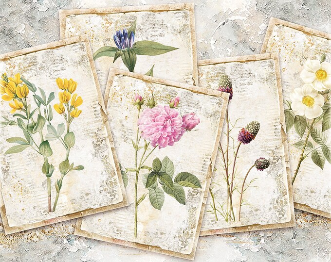 Vintage Botanical Card Set Digital Floral Cards ATC - Etsy