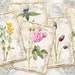 Vintage Botanical Card Set Digital Floral Cards ATC | Etsy