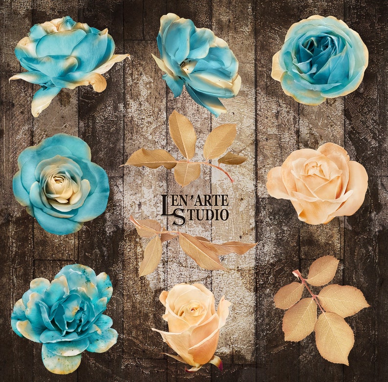 Teal Roses Clip Art Teal Roses Bouquet Clipart Real Flower - Etsy