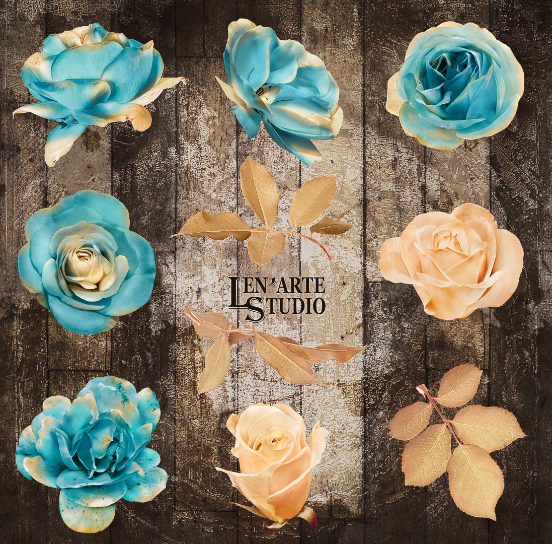 Teal Roses Clip Art Teal Roses Bouquet Clipart Real Flower - Etsy