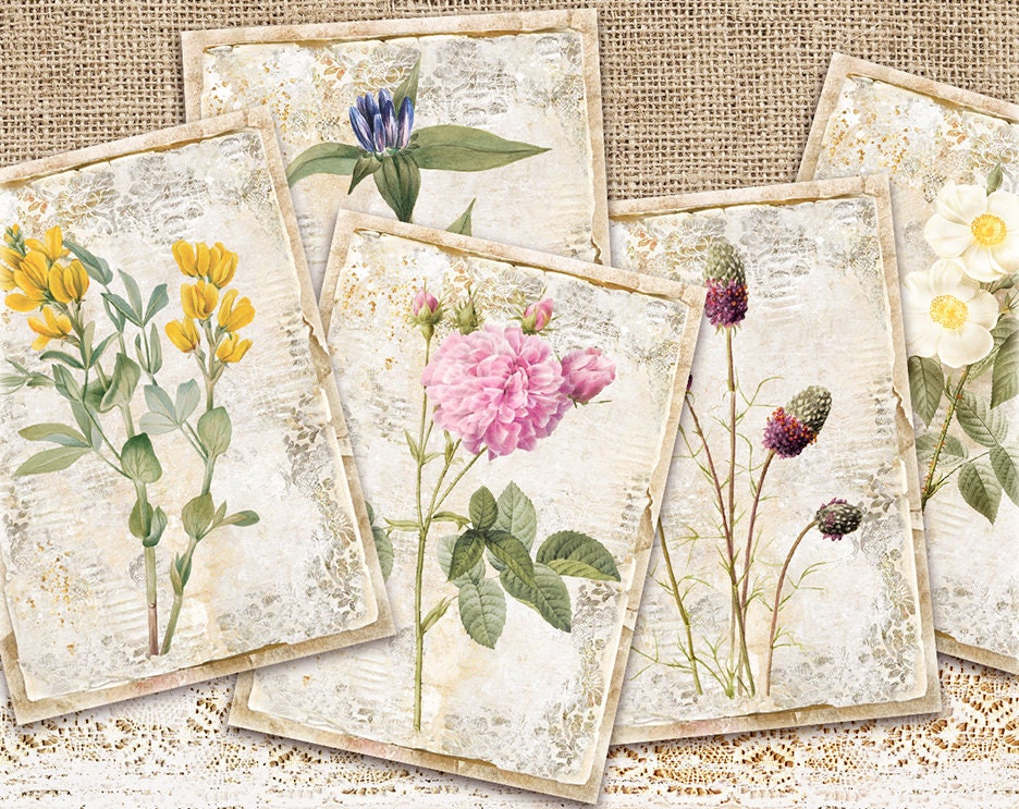 Vintage Botanical Card Set, Digital Floral Cards ATC, Printable ...
