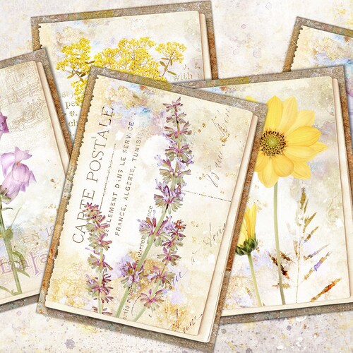 Vintage Botanical Card Set Digital Floral Cards ATC - Etsy