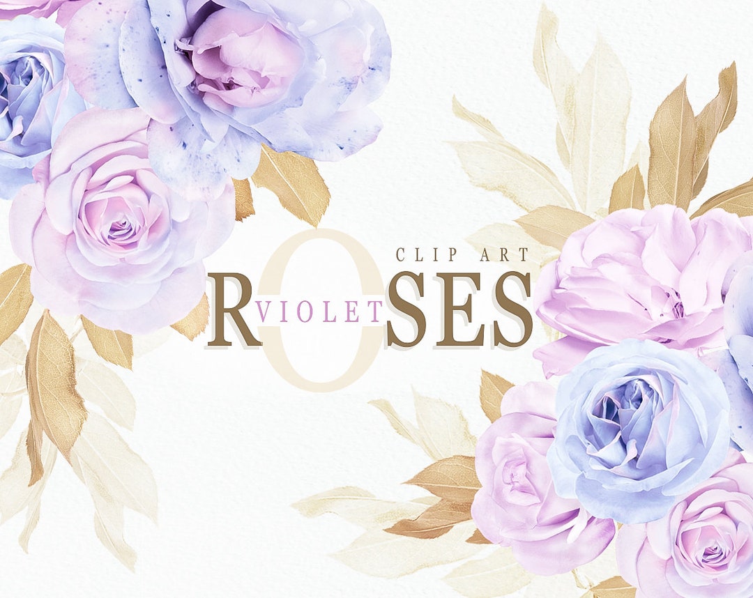 Violet Roses Clipart, Purple Roses Bouquet Clipart, Real Flower Clip ...