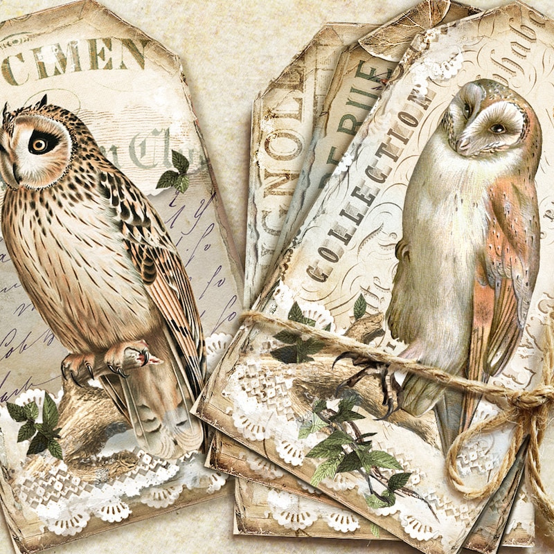 Owl Card - Etsy
