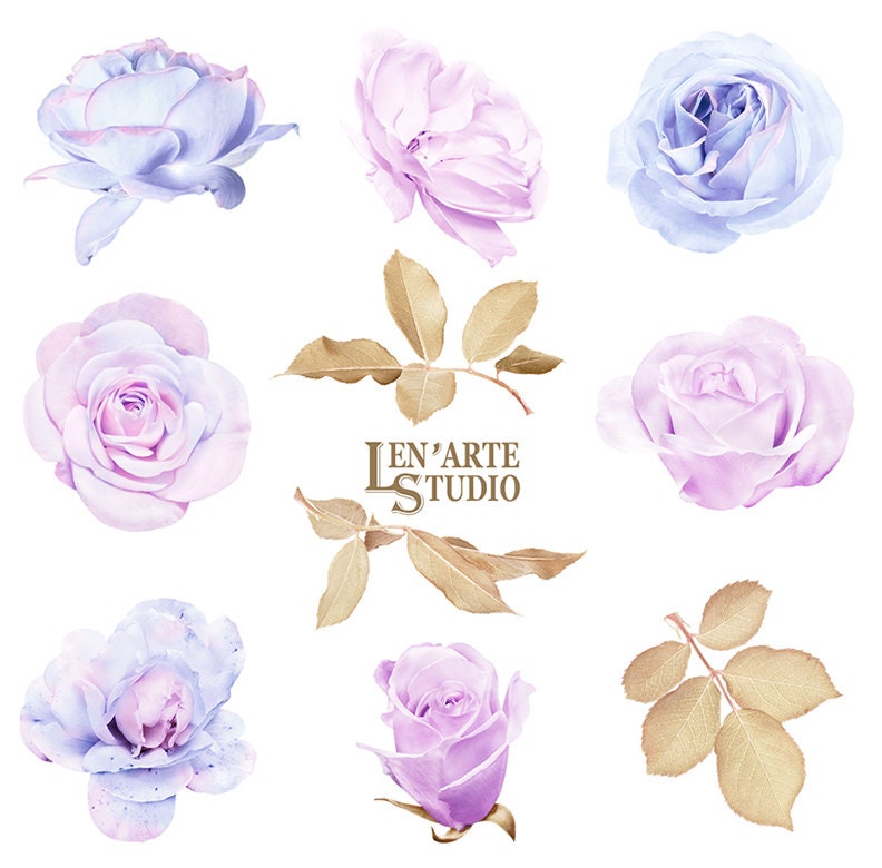 Violet Roses Clipart, Purple Roses Bouquet Clipart, Real Flower Clip ...