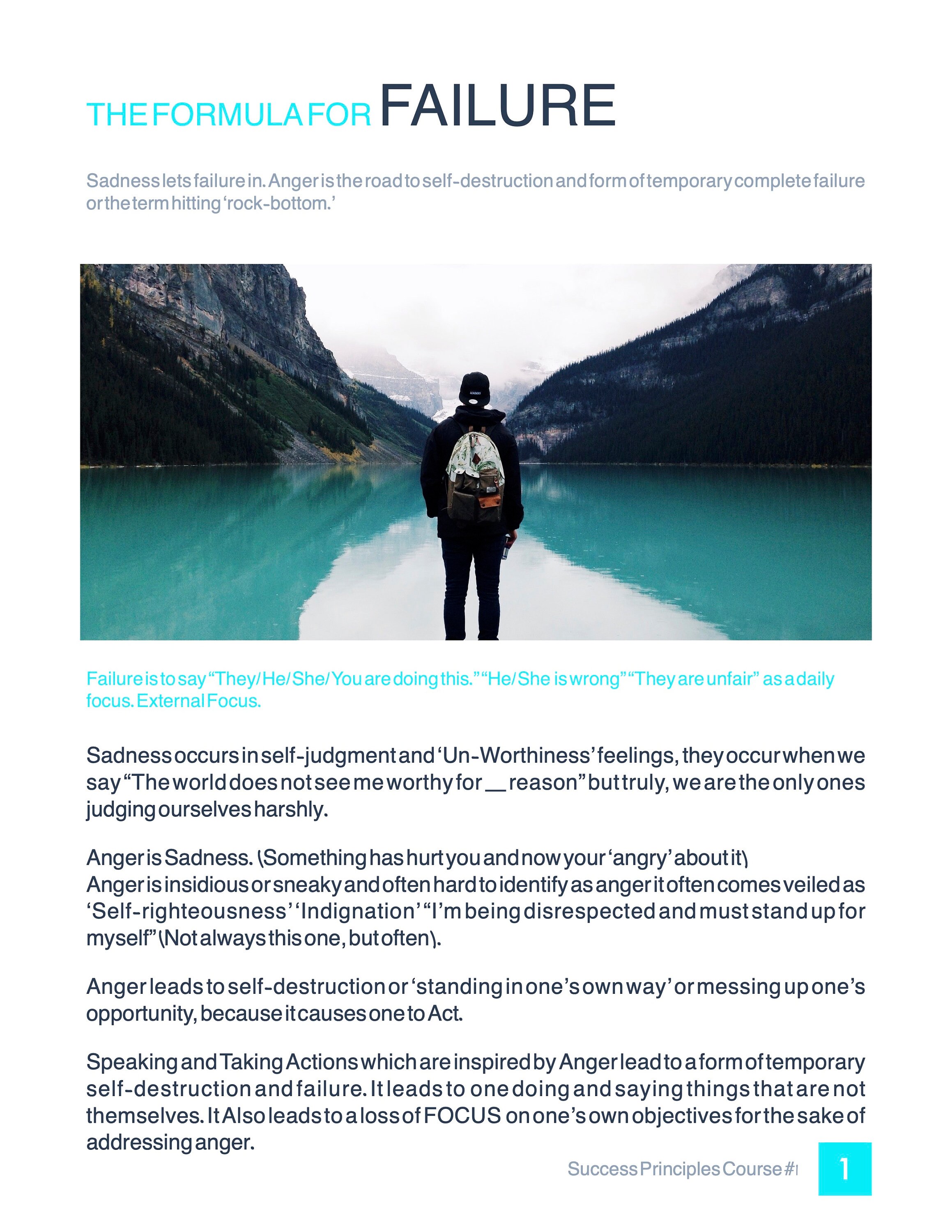 The Formula for Failure the Formula for Success by Annor M - Etsy