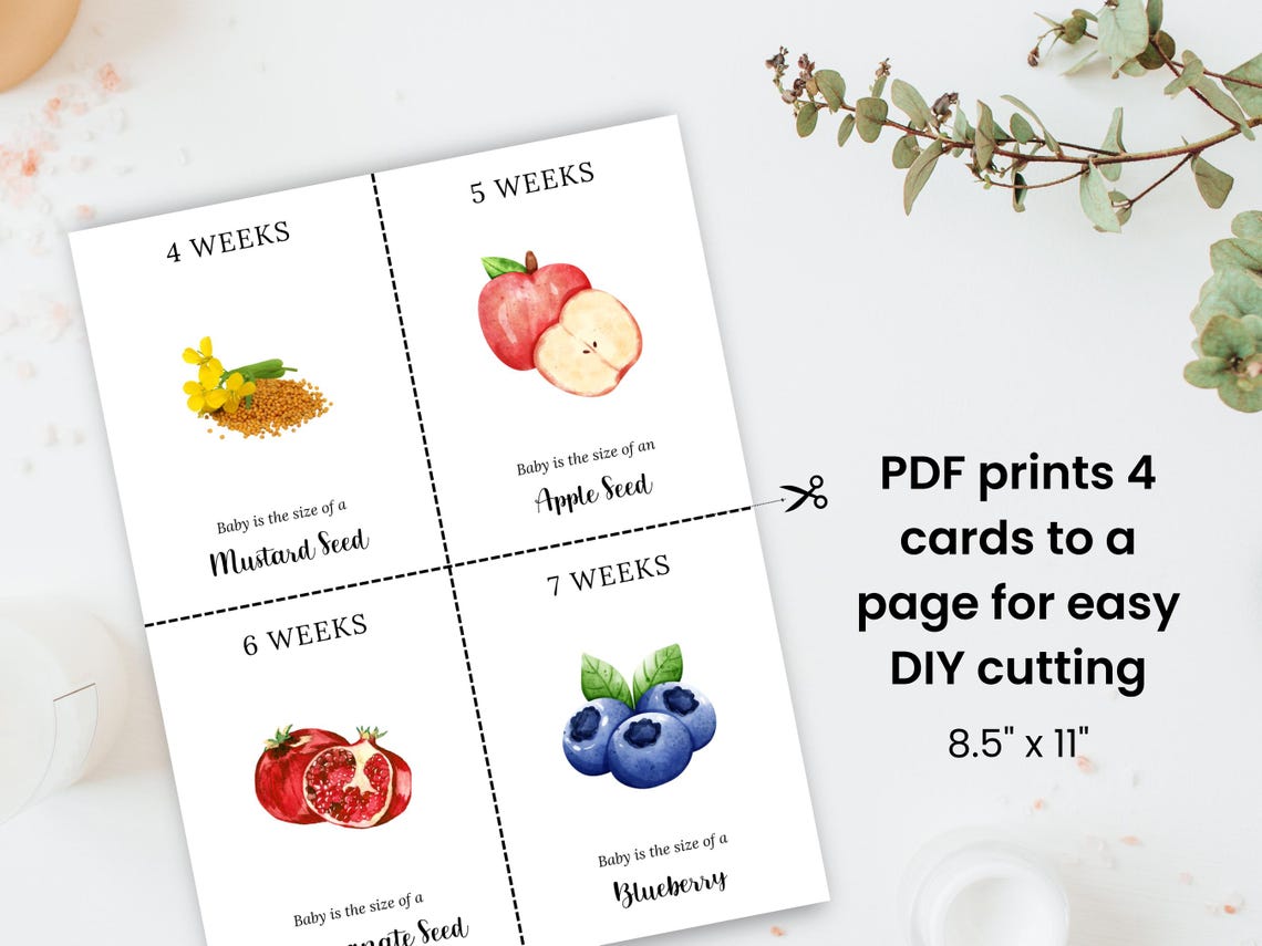Pregnancy Milestone Cards, Bump Size Cards, Fruits and Vegetables ...
