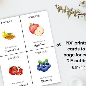 Pregnancy Milestone Cards, Bump Size Cards, Fruits and Vegetables ...