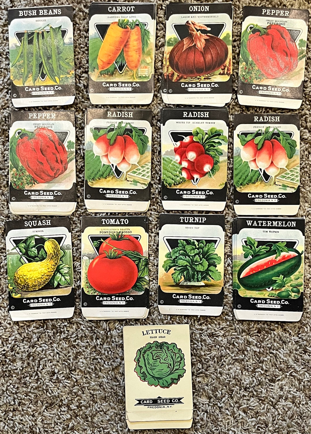 52-1930'S Card Seed Co. Seed Packets Variety of Seeds (see Description ...