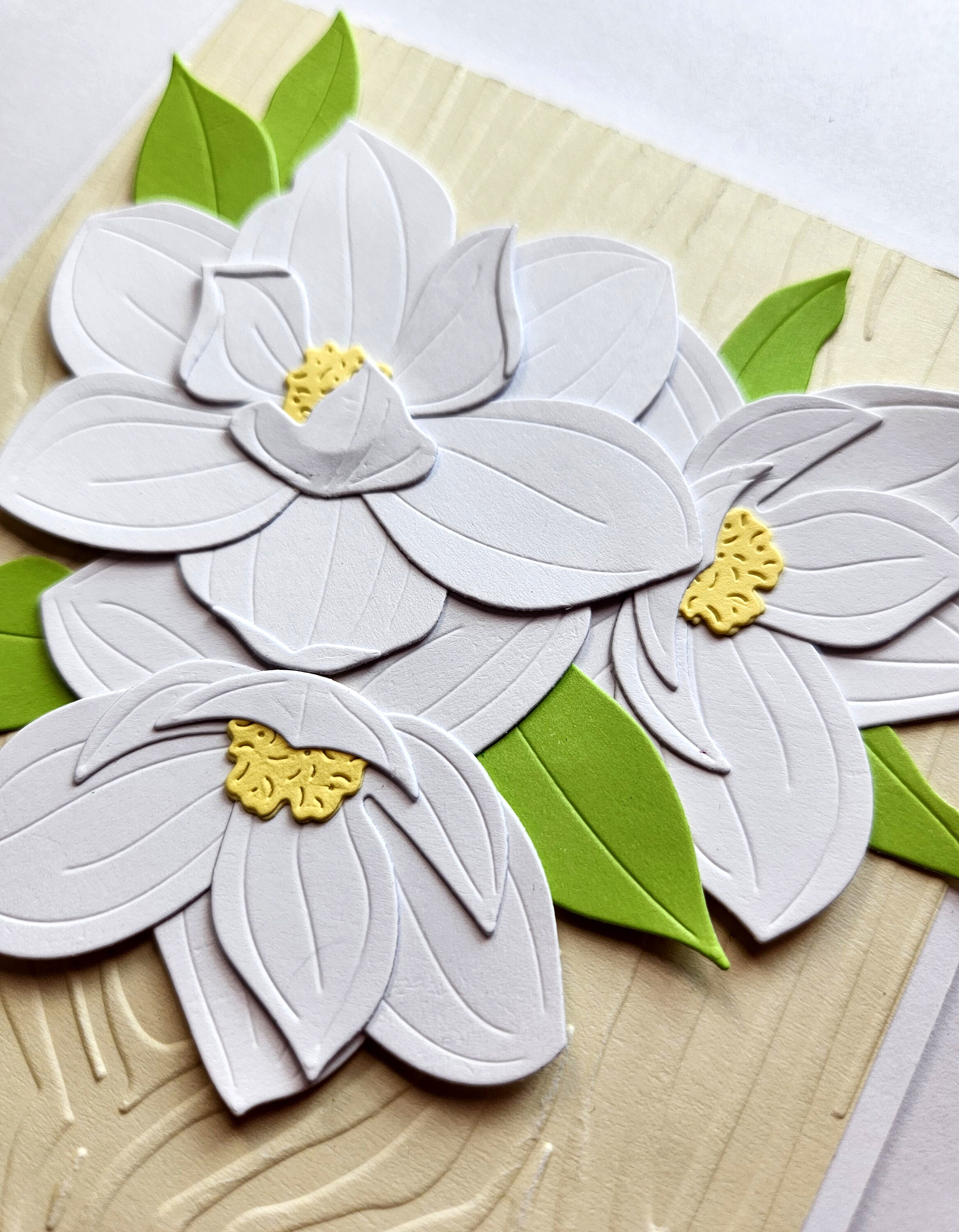 Get Well Card, Get Well Soon, Flowers, Magnolias, Feel Better, Surgery ...