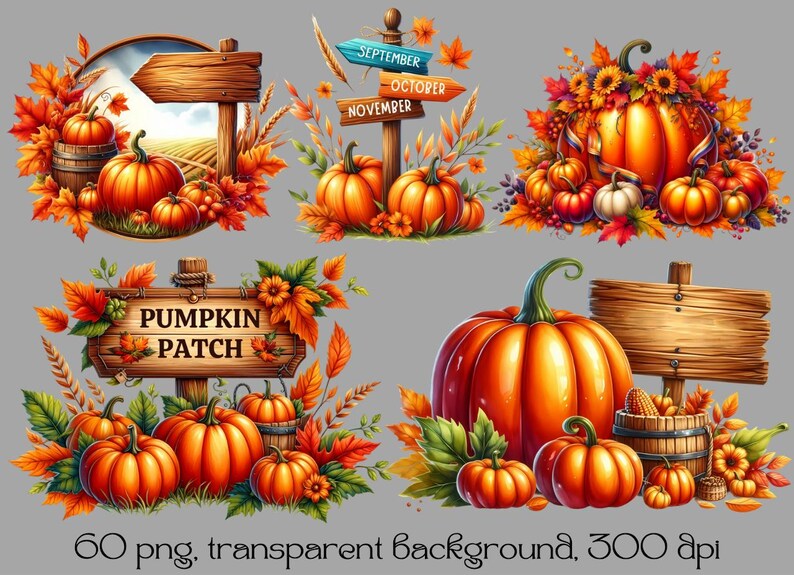 Pumpkin Clipart Fall Pumpkin Png Pumpkin Patch Graphic Autumn Clipart ...