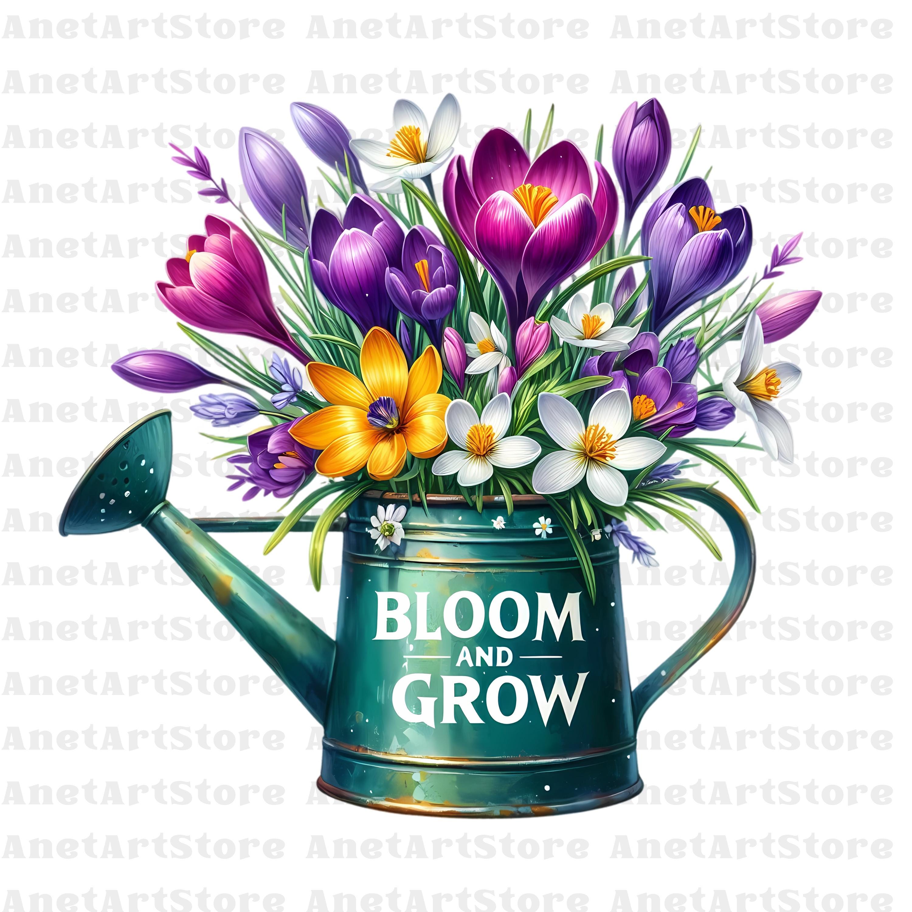 Spring Clipart Spring Floral Clipart Floral Crocus Png Hello Spring ...