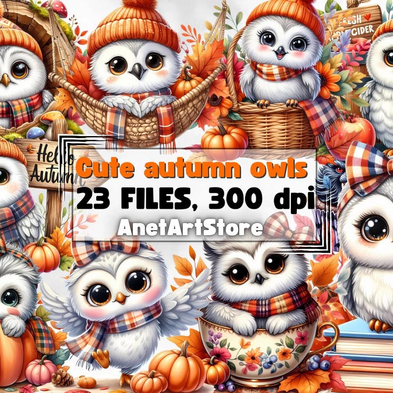 Fall Owl Clipart - Etsy