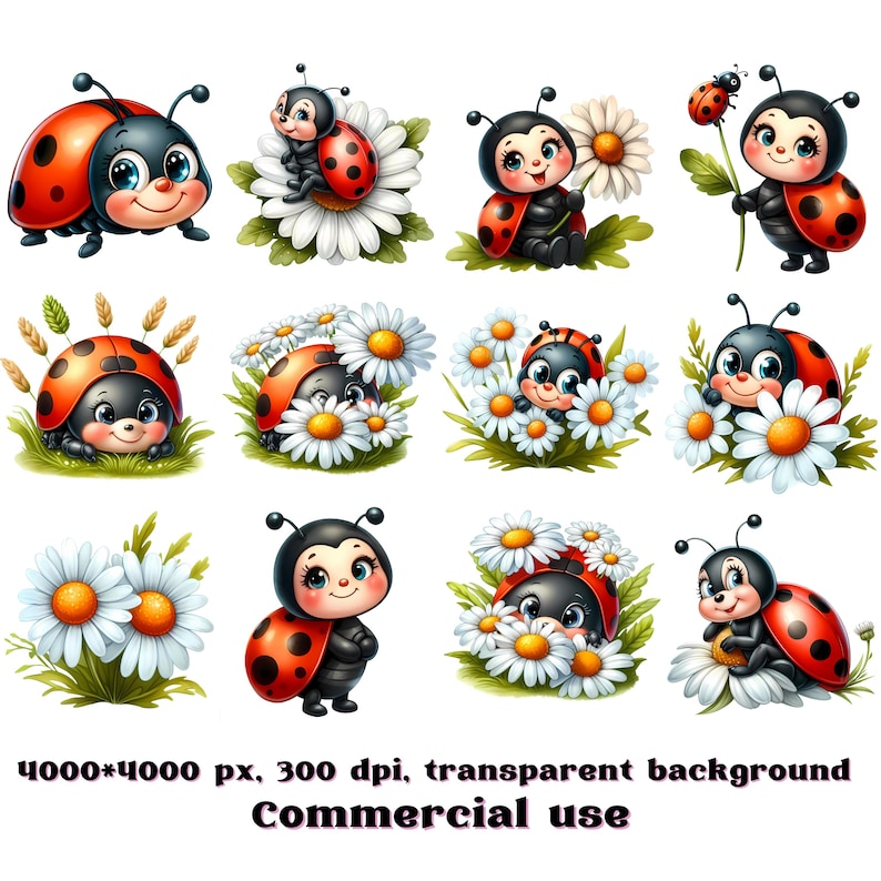 Ladybug Clipart, Ladybugs Clipart, Daisy Clipart, Daises, Birthday Clip ...