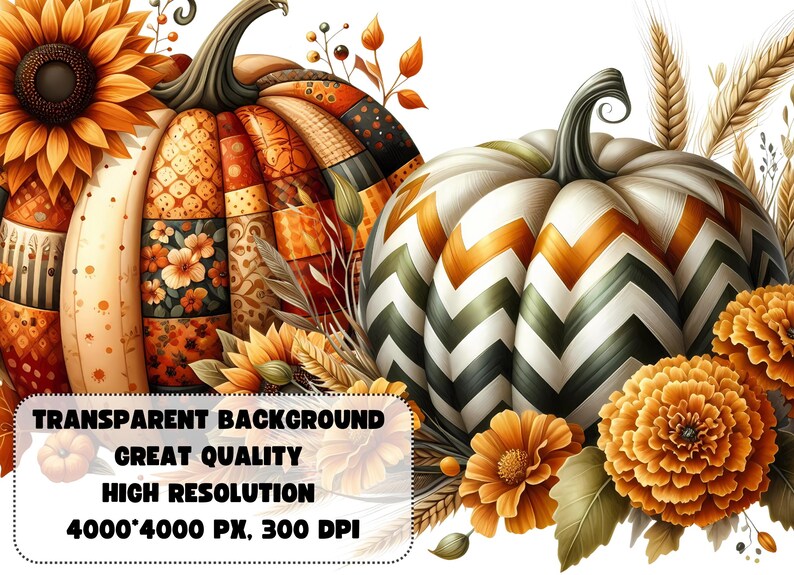 Pumpkin Clipart Fall Pumpkin Png Pumpkin Patch Graphic Autumn Clipart ...