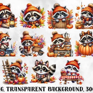 Raccoon Clipart, Raccoons Clipart, Raccoon Png, Watercolour Raccoon ...