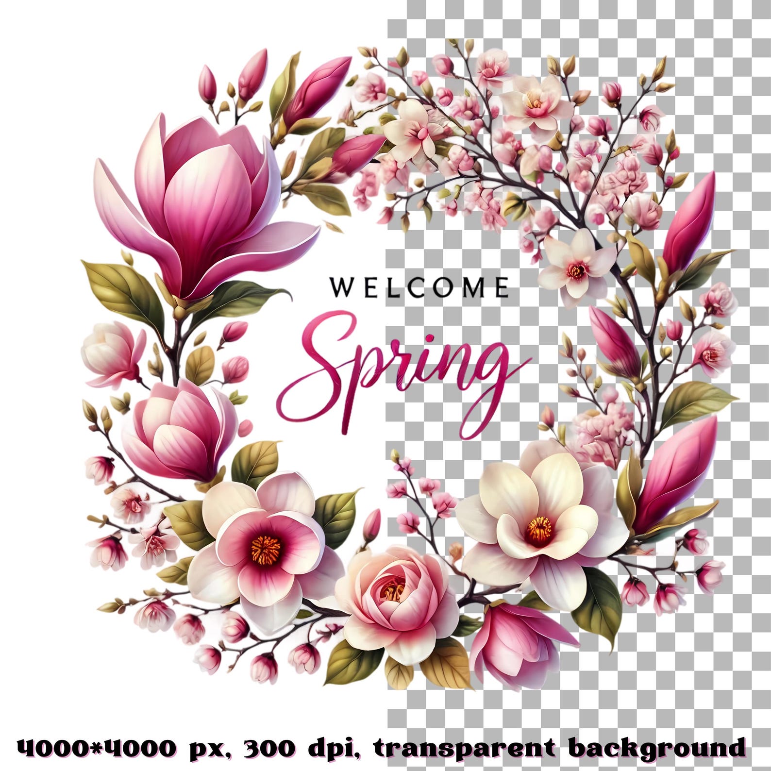 Spring Clipart Spring Floral Clipart Floral Magnolia Png Hello Spring ...