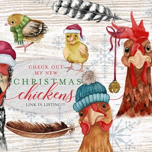 Chickens Watercolor Clipart Collection - PNG - JPG - Instant Download ...