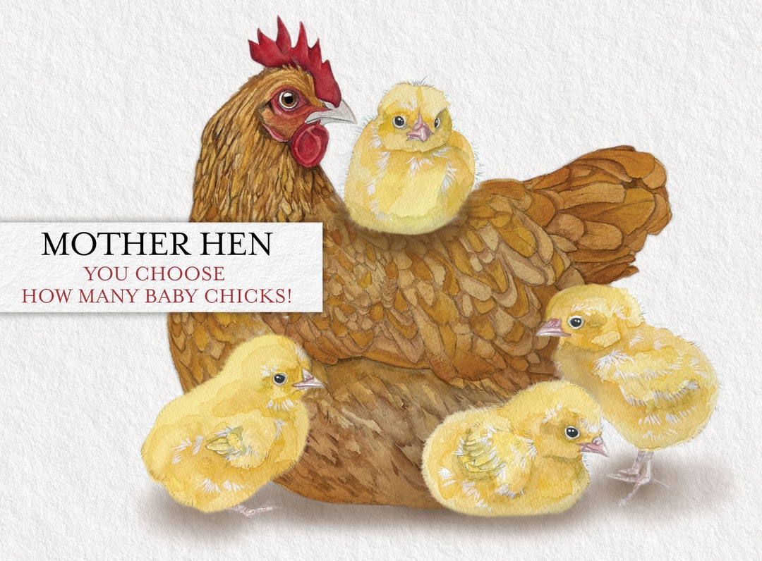 Mother Hen and Baby Chicks 8x10 ~ Physical Print ~ Mother’s Day Gift ...