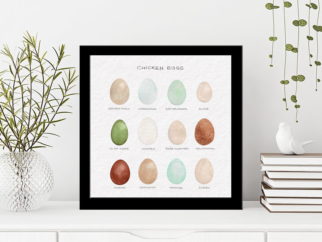 Chicken Egg Colors ~ Watercolor Color Chart ~ Original Art ~ Chicken ...