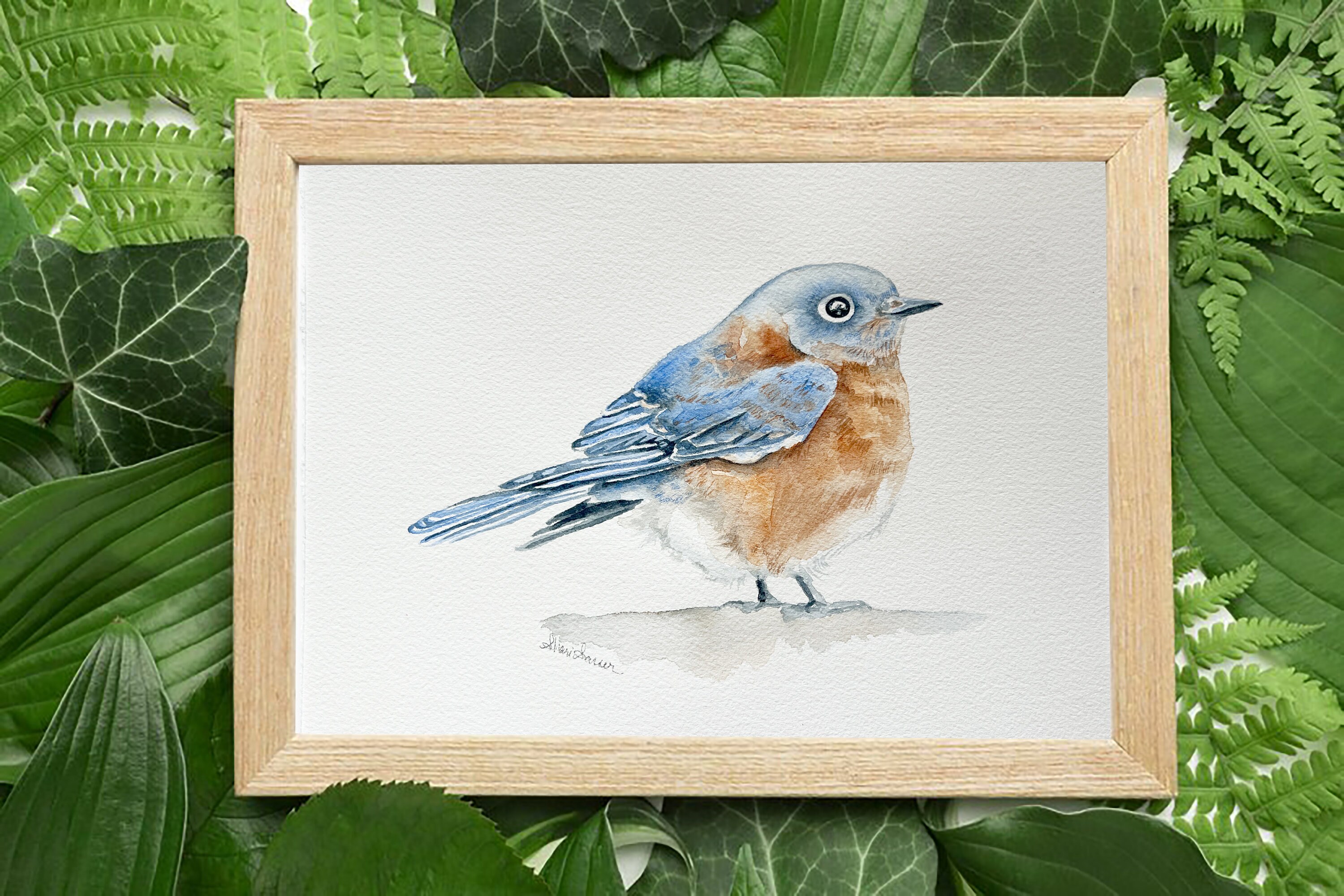 BLUEBIRD ~ Original Watercolor Painting~ Nature Art ~ Blue Bird ...