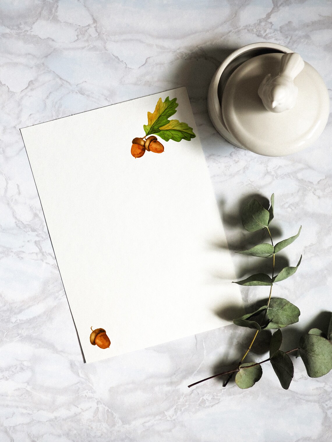Acorns Leaves Watercolor Clipart Collection - PNG - JPG - Instant ...