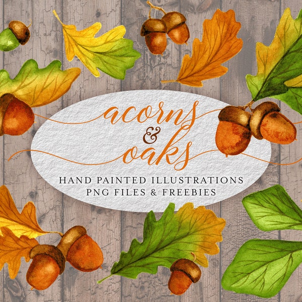 Acorn Clip Art - Etsy