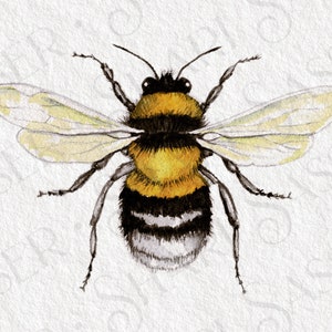 Bumblebee Watercolor Digital Download Jpg and Png for Sublimation ...
