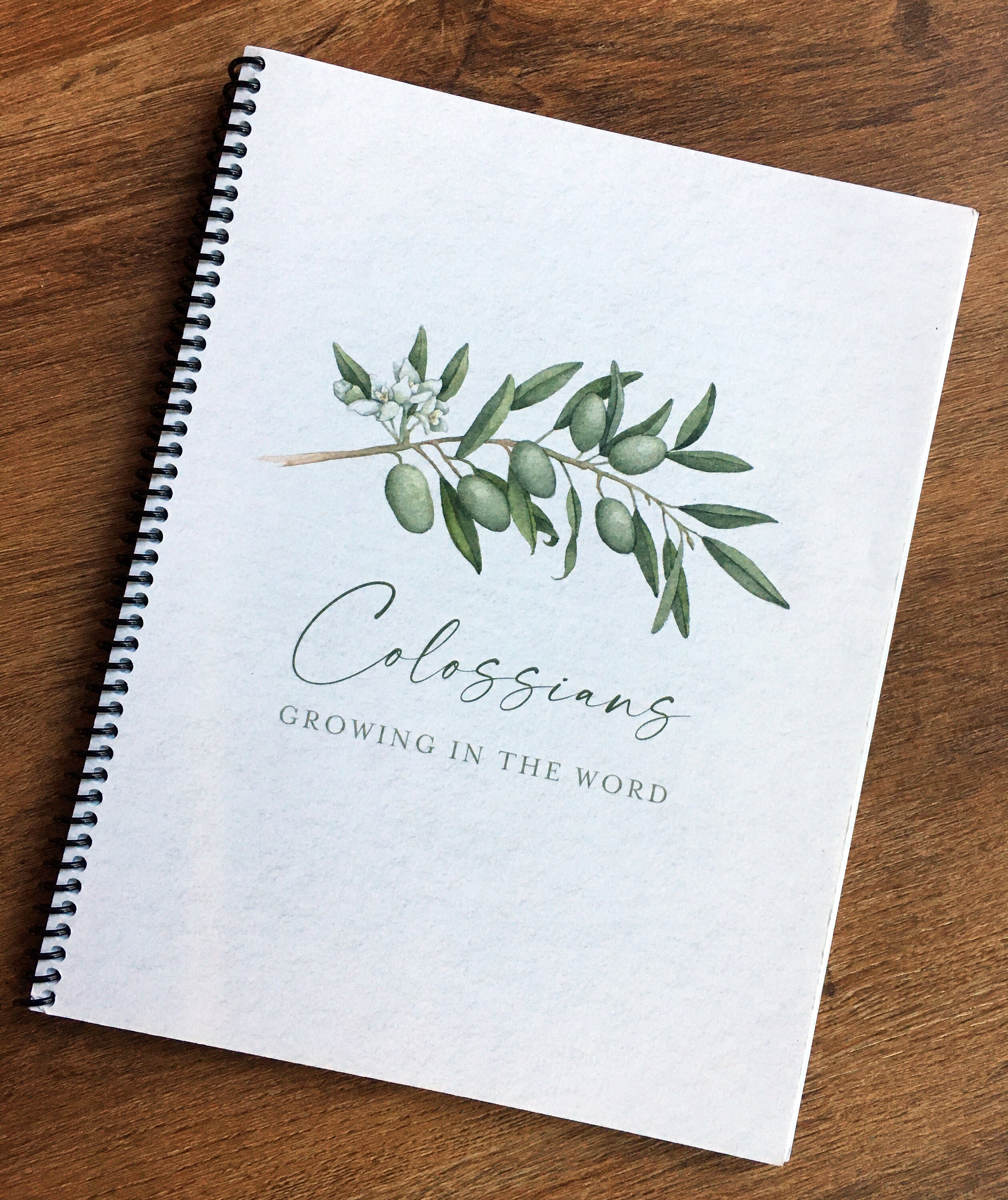 Colossians Bible Study - Printable Download - Worksheets - Pdf ...