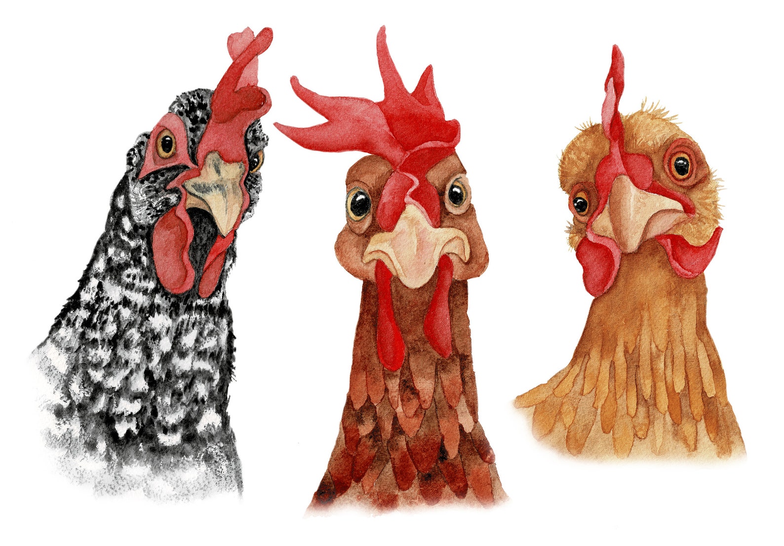 Chickens Watercolor Clipart Collection Funny PNG JPG - Etsy
