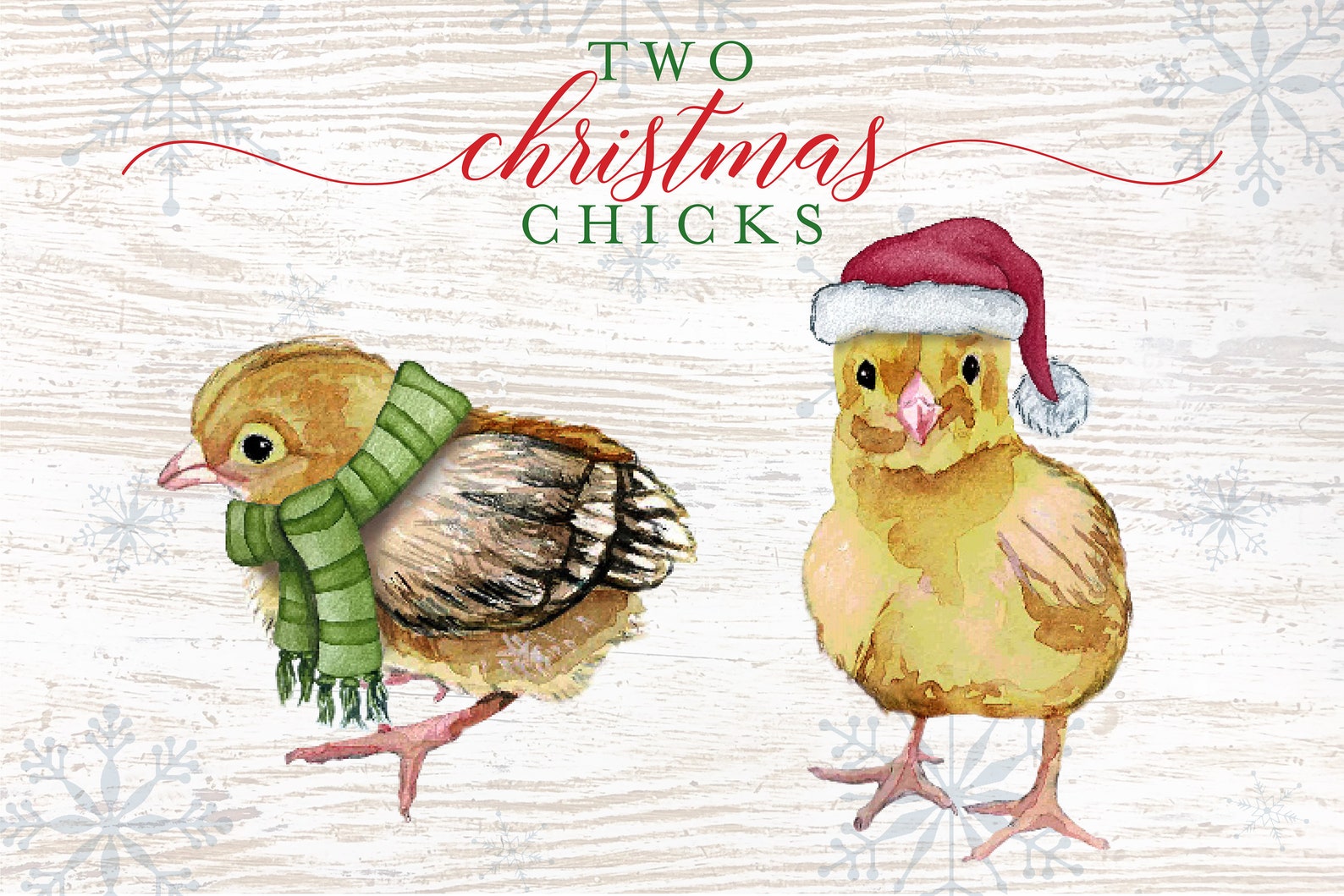 CHRISTMAS Chickens Watercolor Clipart Collection - Funny - PNG ...