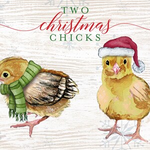 CHRISTMAS Chickens Watercolor Clipart Collection - Funny - PNG ...