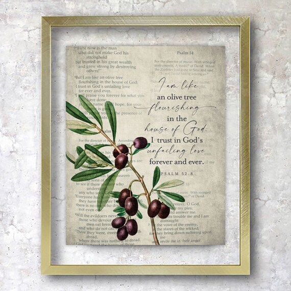 Olive Tree Bible Verse