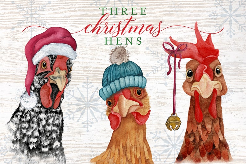 CHRISTMAS Chickens Watercolor Clipart Collection - Funny - PNG ...